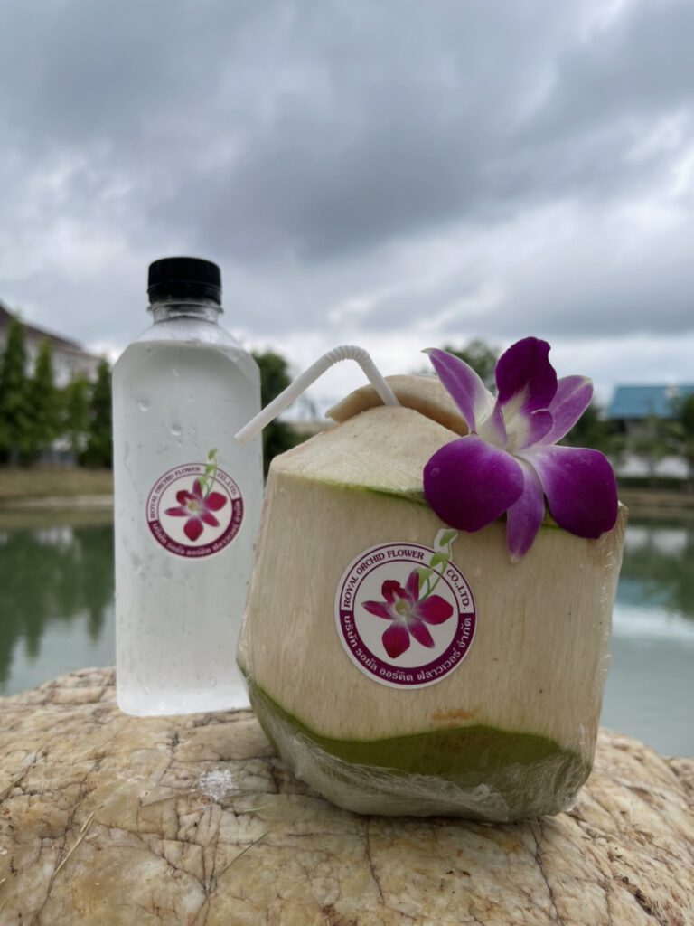 HOME - Royal Coconut