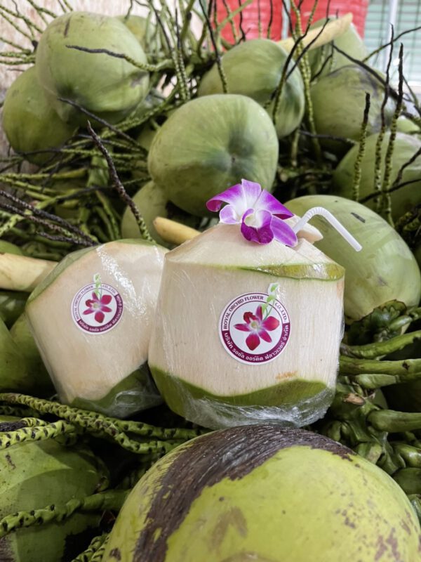 HOME - Royal Coconut